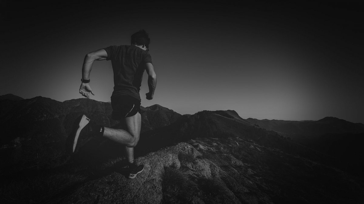 2 – Lokataru Foundation